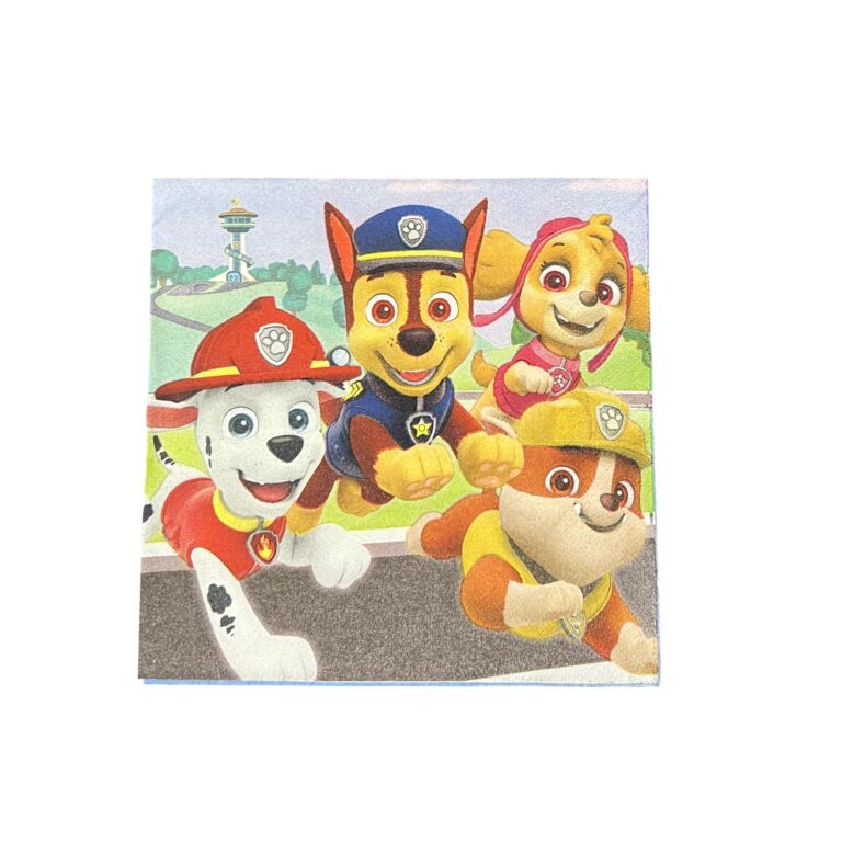 Girl Paw Patrol Party Supplies Set - Party Direct
